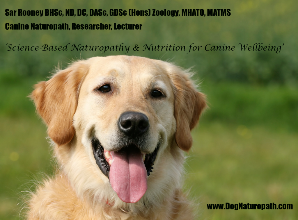 Animal Naturopath - :Animal Naturopath